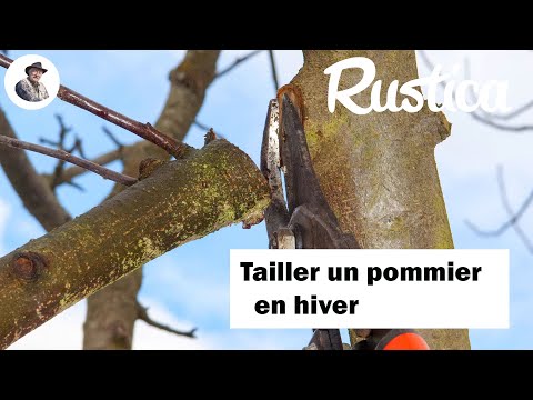 Breuillet Nature: Les pommiers