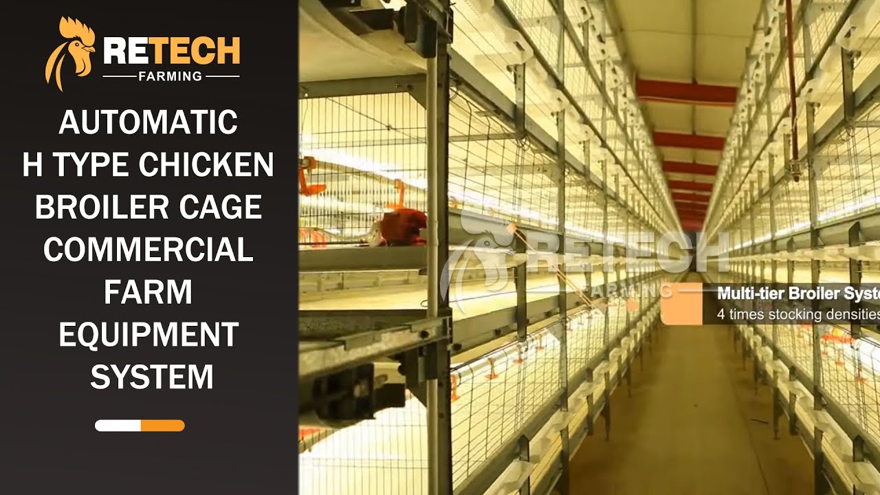 Automatic H Type Chicken Broiler Cage Commercial Farm Equipment System - RETECH Farming - YouTube