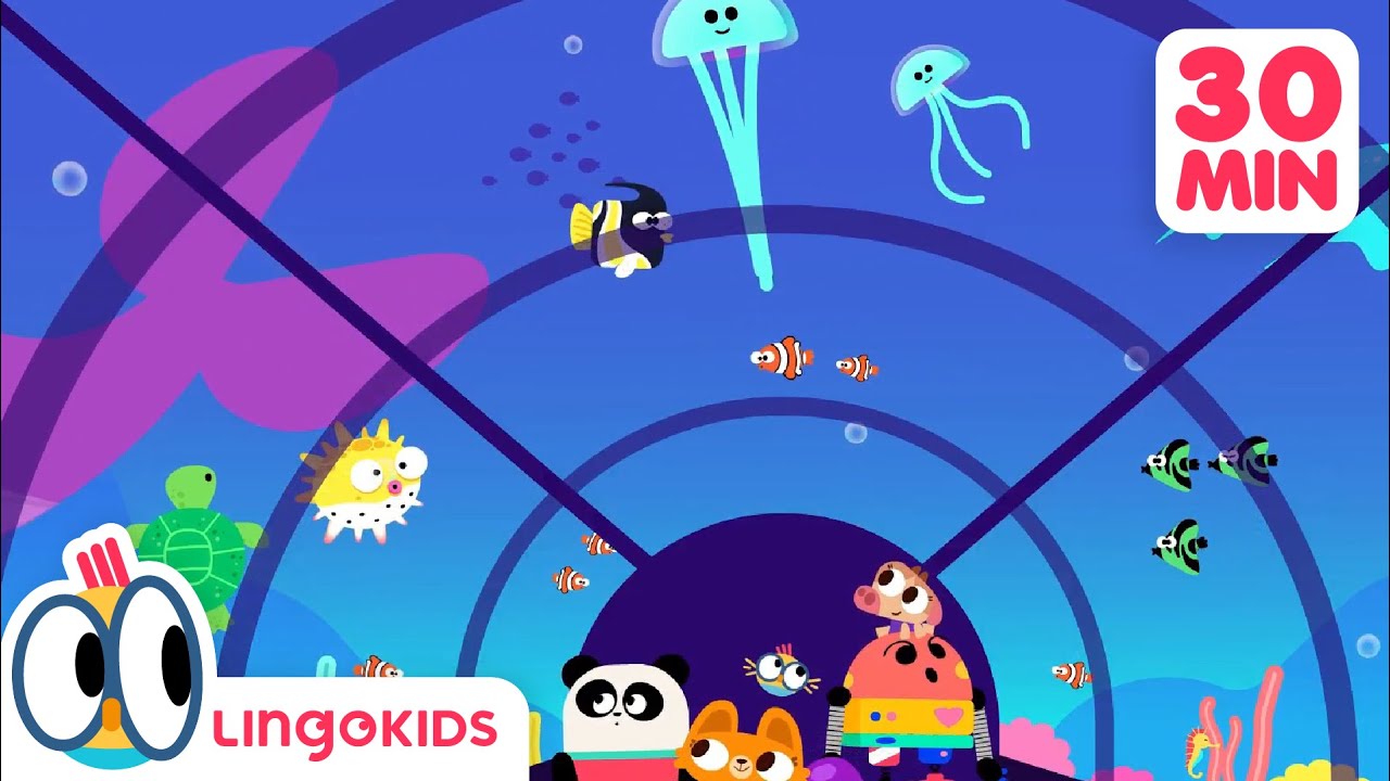 ABC CHANT 🔤🎶+ Baby Bot's Favorite Songs for Kids 🤖|Lingokids - YouTube