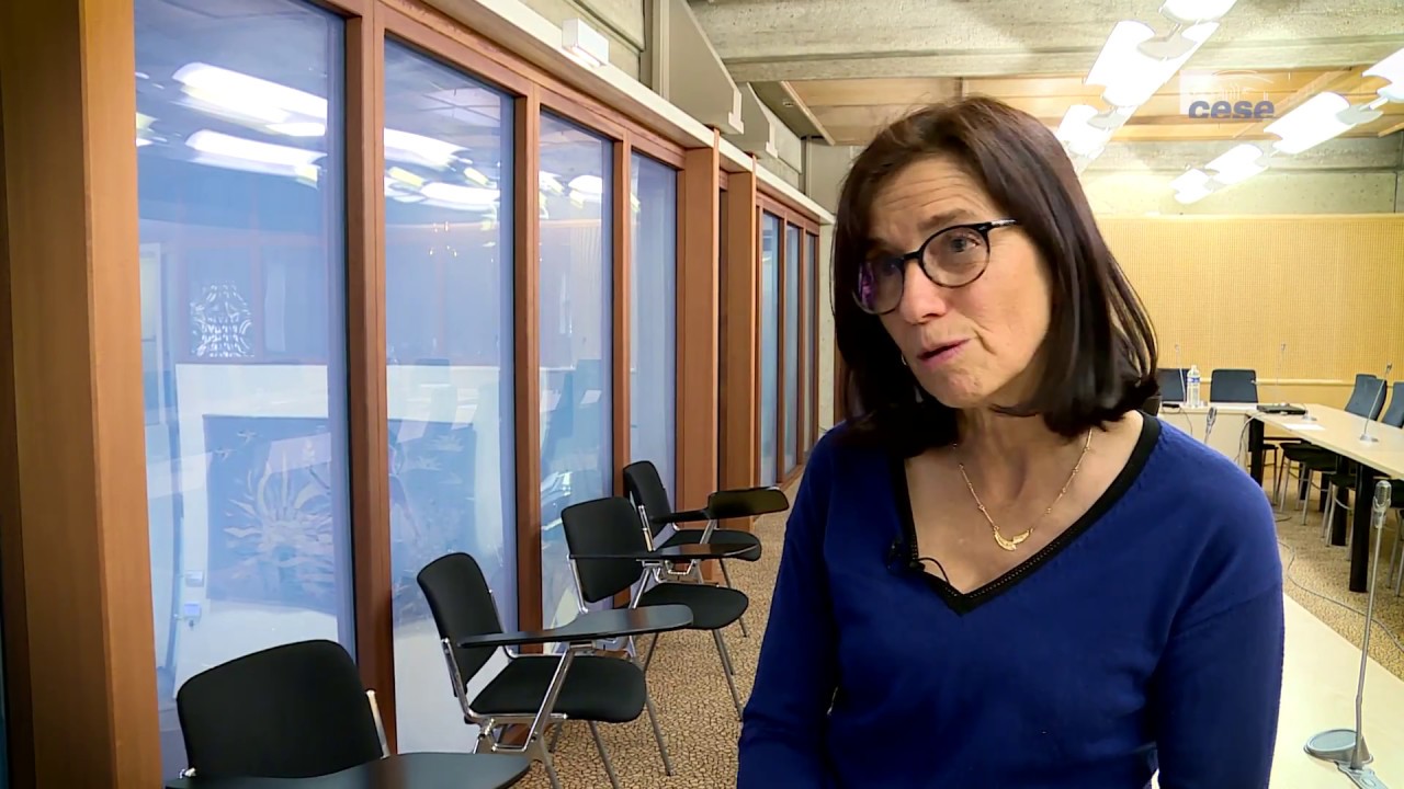 Questions à Nadine LEVRATTO (CNRS) - travail indépendant - cese - YouTube