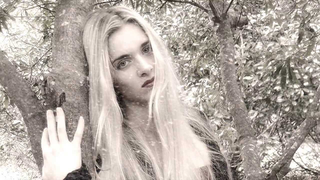 Autumn's Grey Solace - Through The Snowy Trees - YouTube