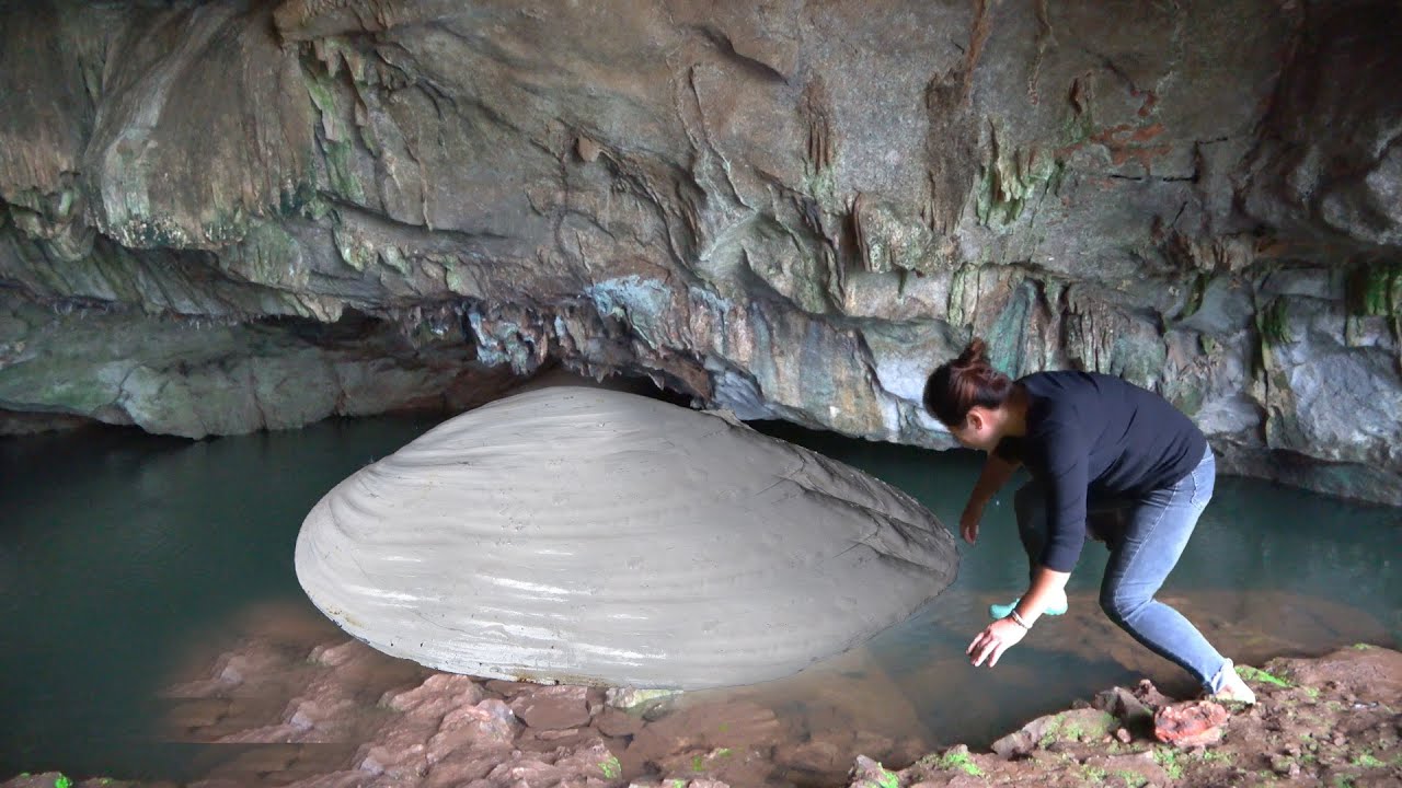 A beautiful woman discovered white clams in a cave, opened them, and ...
