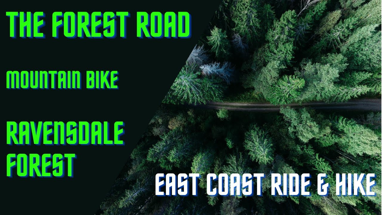 Discover "The Forest Road" trail in the Lumpers loop, Ravensdale Forest ...