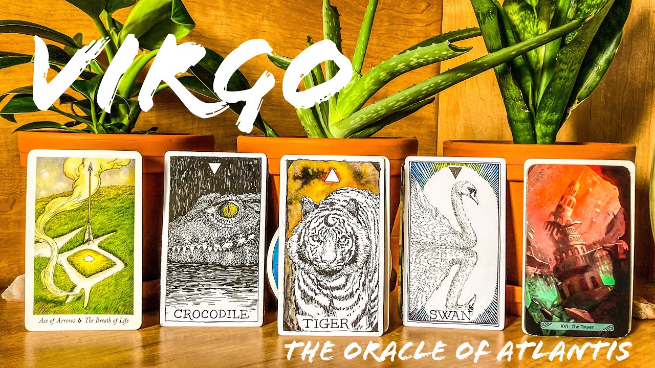#Virgo Crocs, Tigers, Swans - OH MY! #Security #TarotHoroscope - YouTube