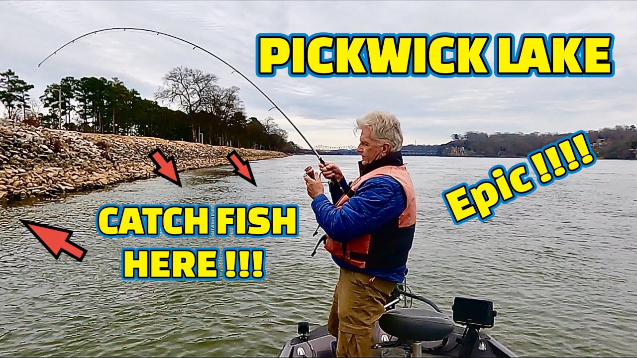 A Fishing BAIT and SIMPLE fishing TECHNIQUE that CATCHES fish LIKE ...