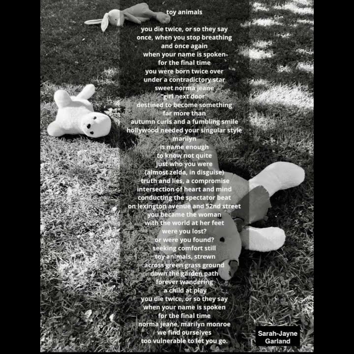 toy animals by Sarah Jayne Garland - YouTube