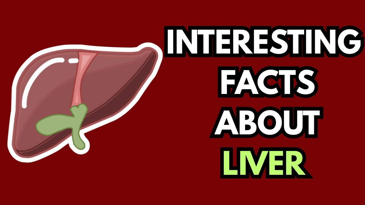 Interesting Facts about Human Liver || Liver Facts || #liver #facts ...