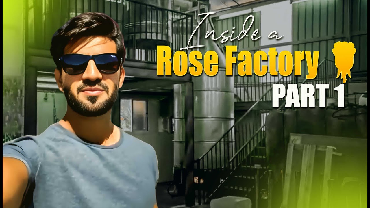 Inside a Rose Factory 🌹 | Part 1 - YouTube