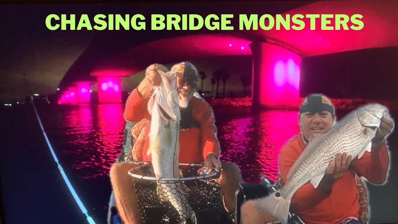 In the right place at the right time catching some bridge monsters with ...