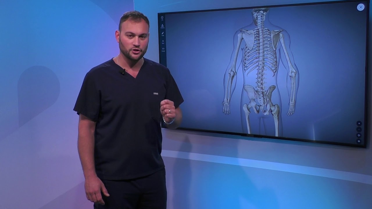 Healthy Spine: Shape and Function - YouTube