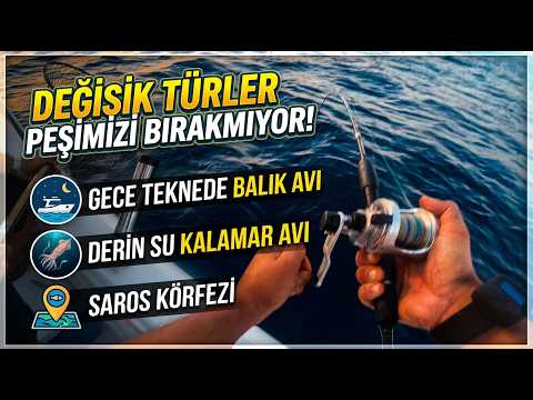Gece Tekneden Balık avı / Gece Derin Su Kalamar avı / Saros Körfezi / Yayla Sahili / #keşfet #reals
