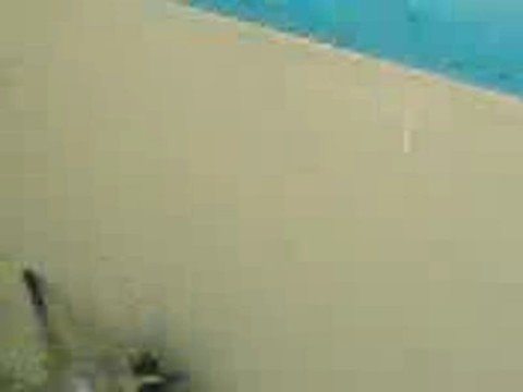 Alive Conch Shell - YouTube