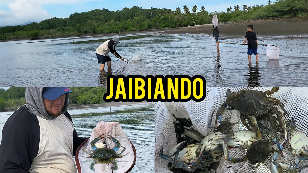 MIREN ESTA MANERA de ATRAPAR JAIBAS. lo mejor de vivir en El Salvador ...
