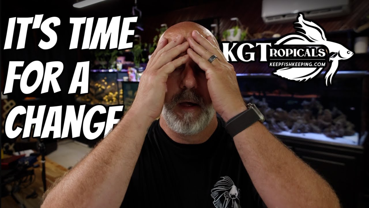 So what's next? Is KGTropicals burnt out? - YouTube