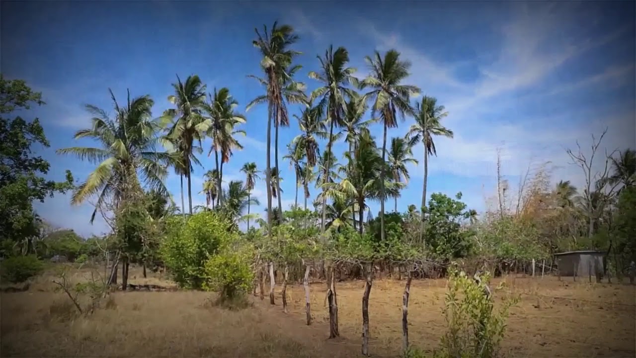 Visitando Playa Rompió y La Finquita - YouTube