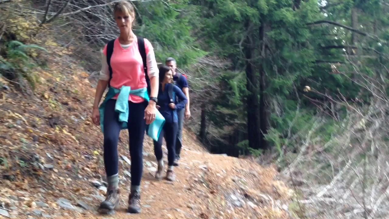Hiking Rampart Ridge and Trail of the Shadows at Mount Rainier - YouTube