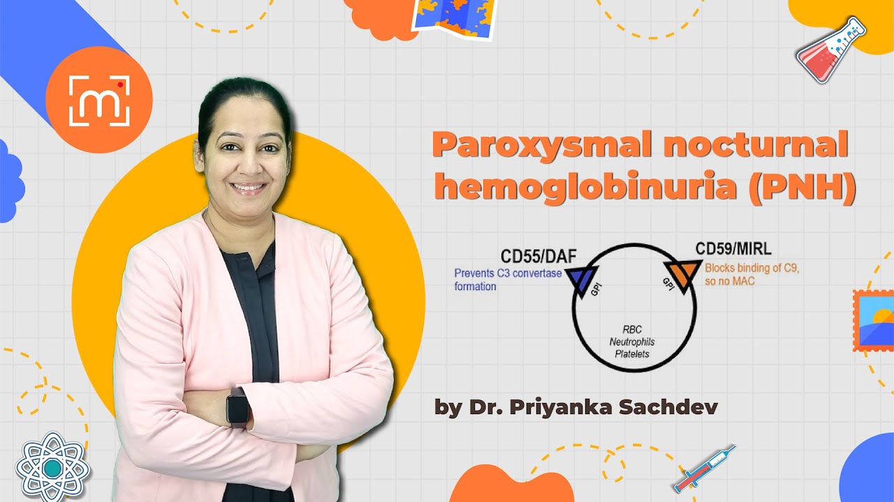 Demystifying Paroxysmal Nocturnal Hemoglobinuria (PNH) | MedLive by Dr ...