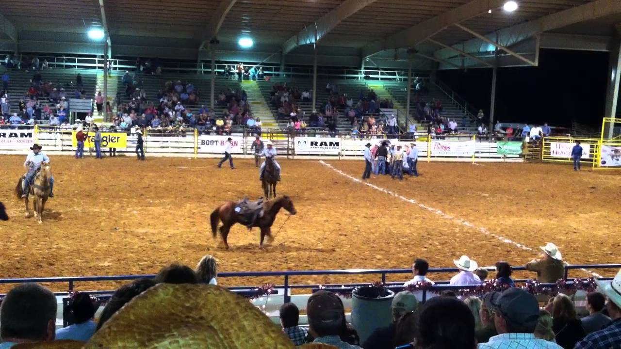 Wild Cow Milking Rodeo event leaves cowboy down. - YouTube