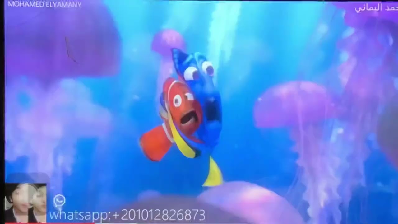 Finding Nemo p Sherman 42 wallaby way Sydney in Arabic - YouTube
