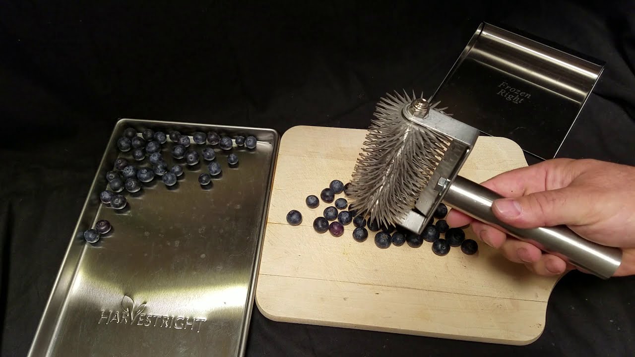 Roller Berry - YouTube