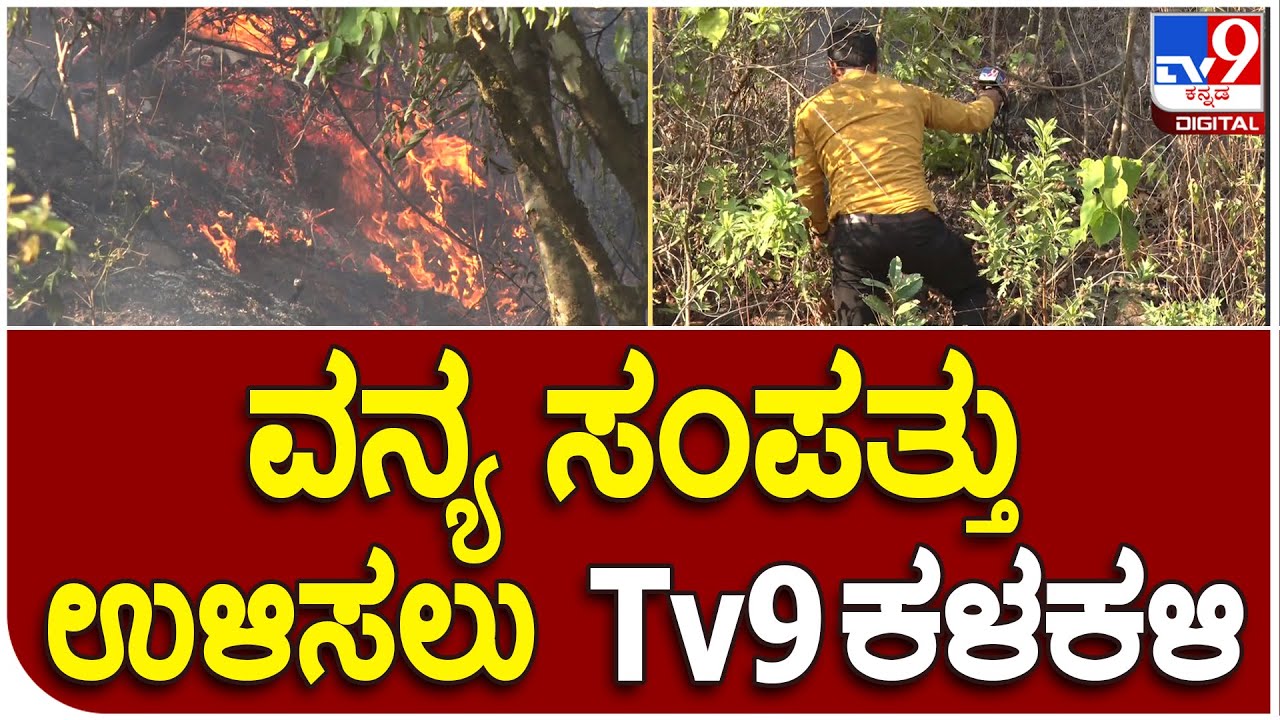 ಚಾರ್ಮಾಡಿ ಬೆಂಕಿ ನಂದಿಸಿದ ಮಂಗಳೂರು tv9 ತಂಡ.. ವನ್ಯಸಂಪತ್ತು ಉಳಿಸಲು ಟಿವಿ9ಕಳಕಳಿ ...