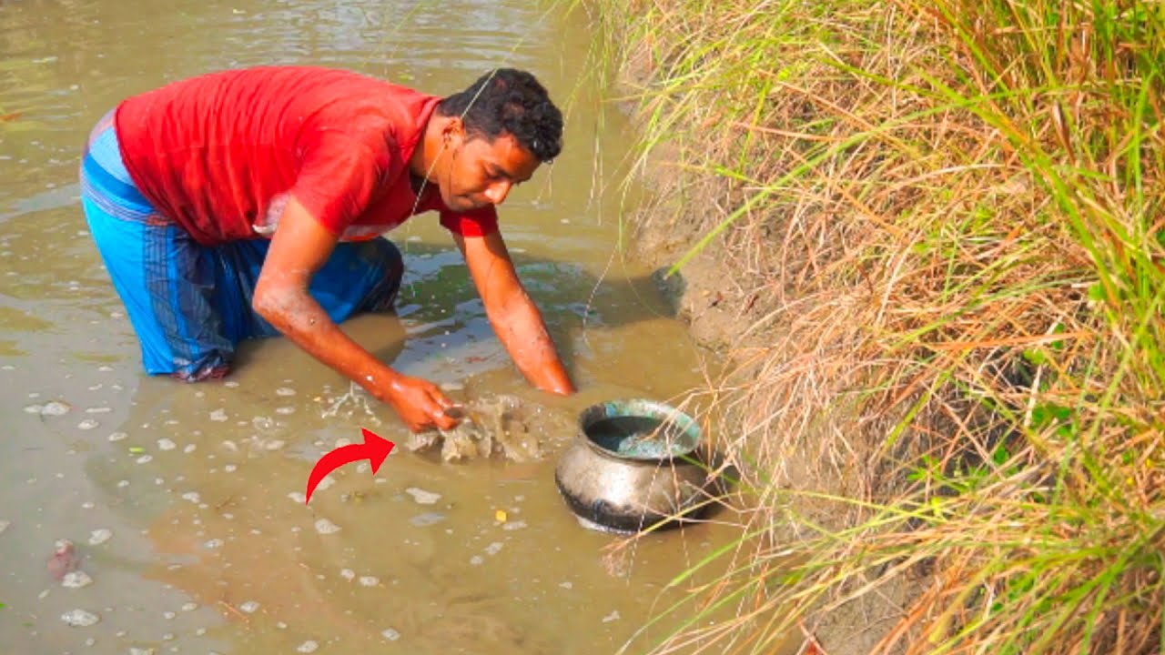 Best Hand Fishing | Catching Fish From Muddy Water | Hand Fishing in ...
