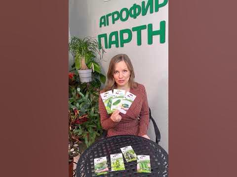 7 лучших огурцов с сумасшедшей урожайностью | #SemenaPartnerShorts ...