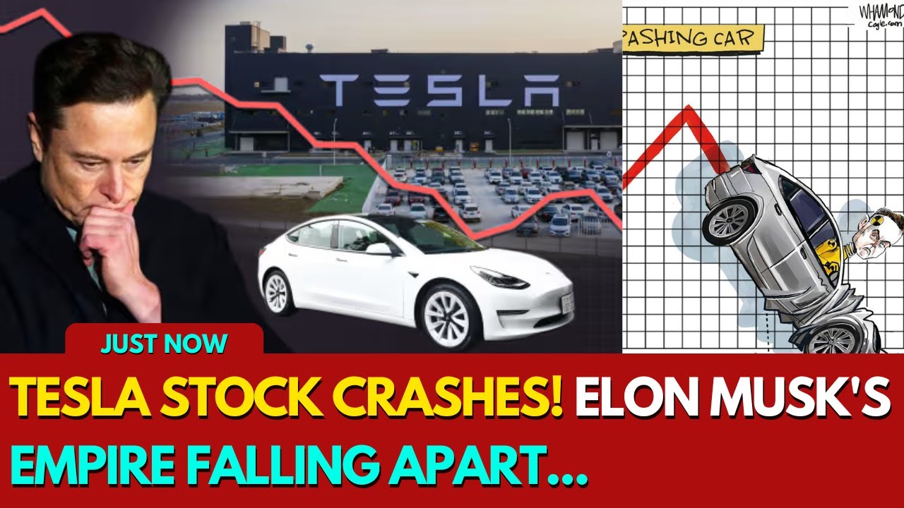 Tesla Stock CRASHES! Analyst Warns: Elon Musk's Empire Falling Apart ...