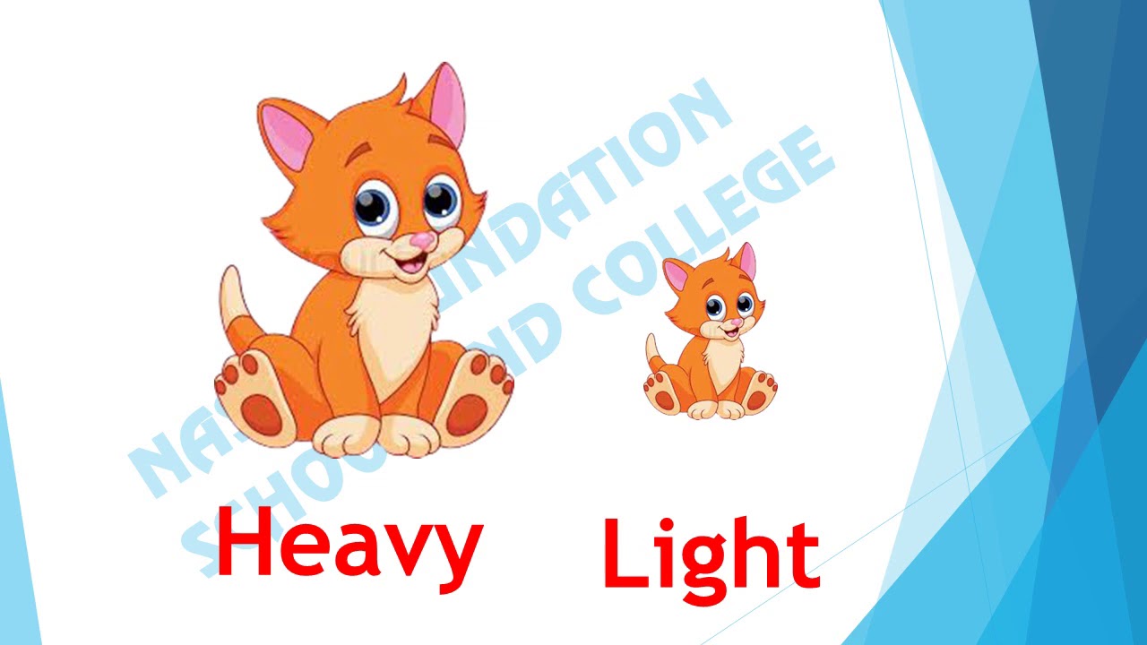 24 Math Class2 Heavy and light - YouTube
