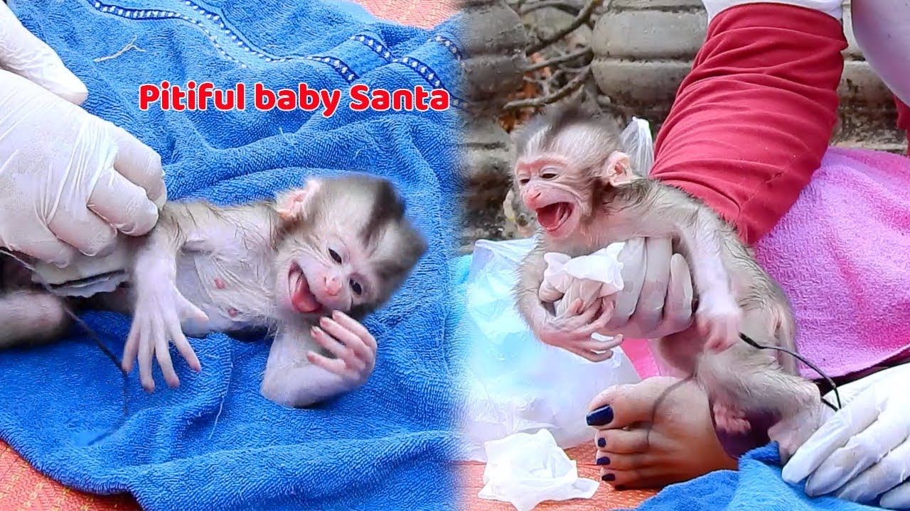 Pitiful orphan Santa cry very loudly need mom take care - Poor orphan ...