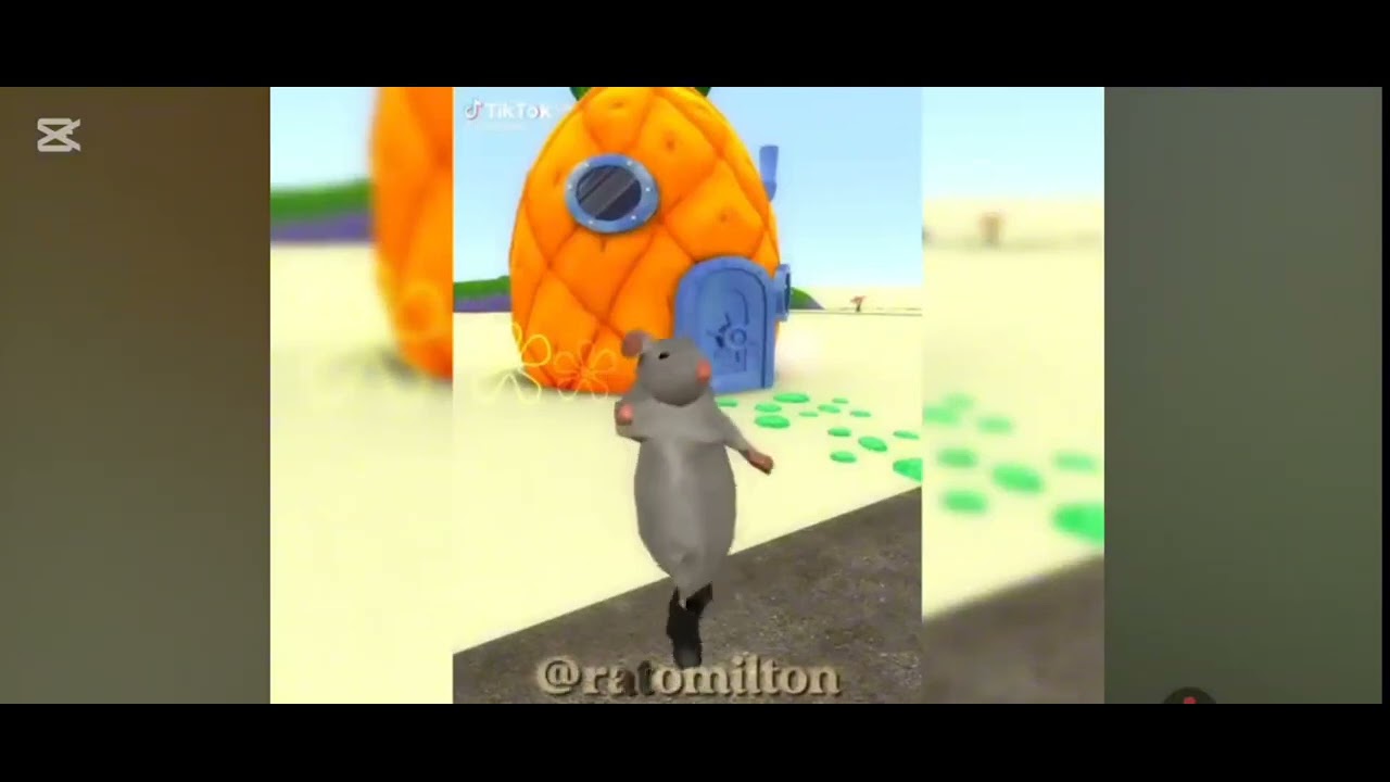 Rat dance song - YouTube