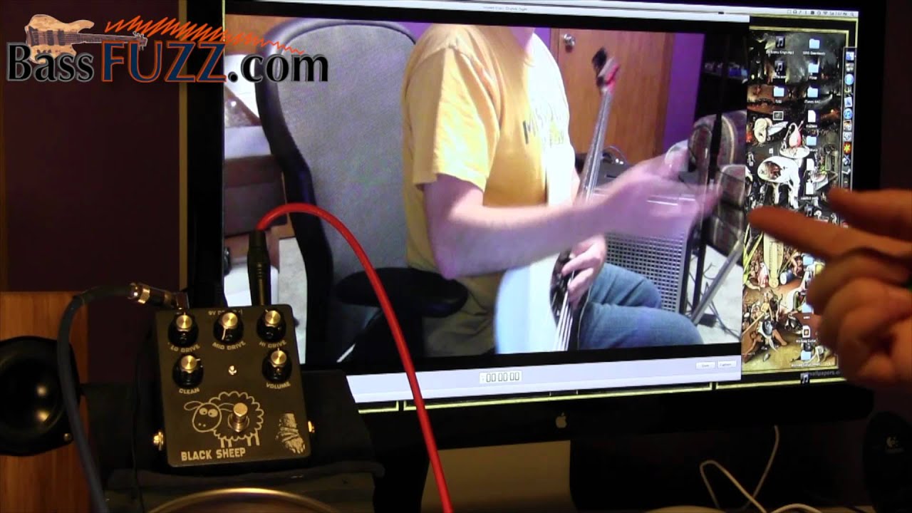 BassFuzz.Com Presents - Wounded Paw Effects Blacksheep Overdrive - YouTube