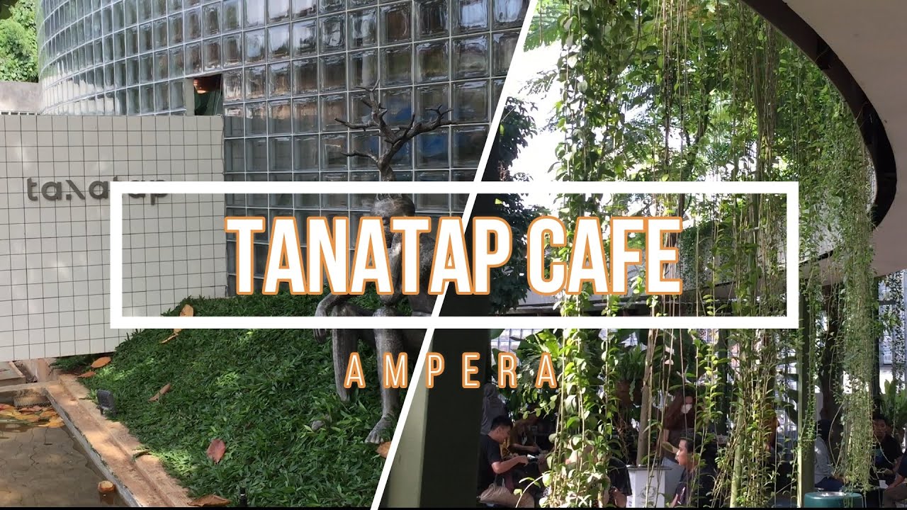 Hits Cafe with Aesthetic Garden View, Tanatap Coffee Ampera - YouTube