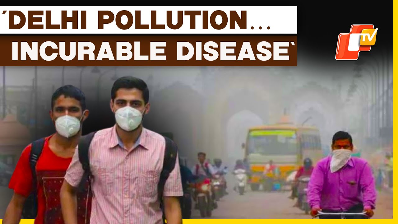 Delhi Pollution: Local Resident Says, ‘Pollution Has Become An ...