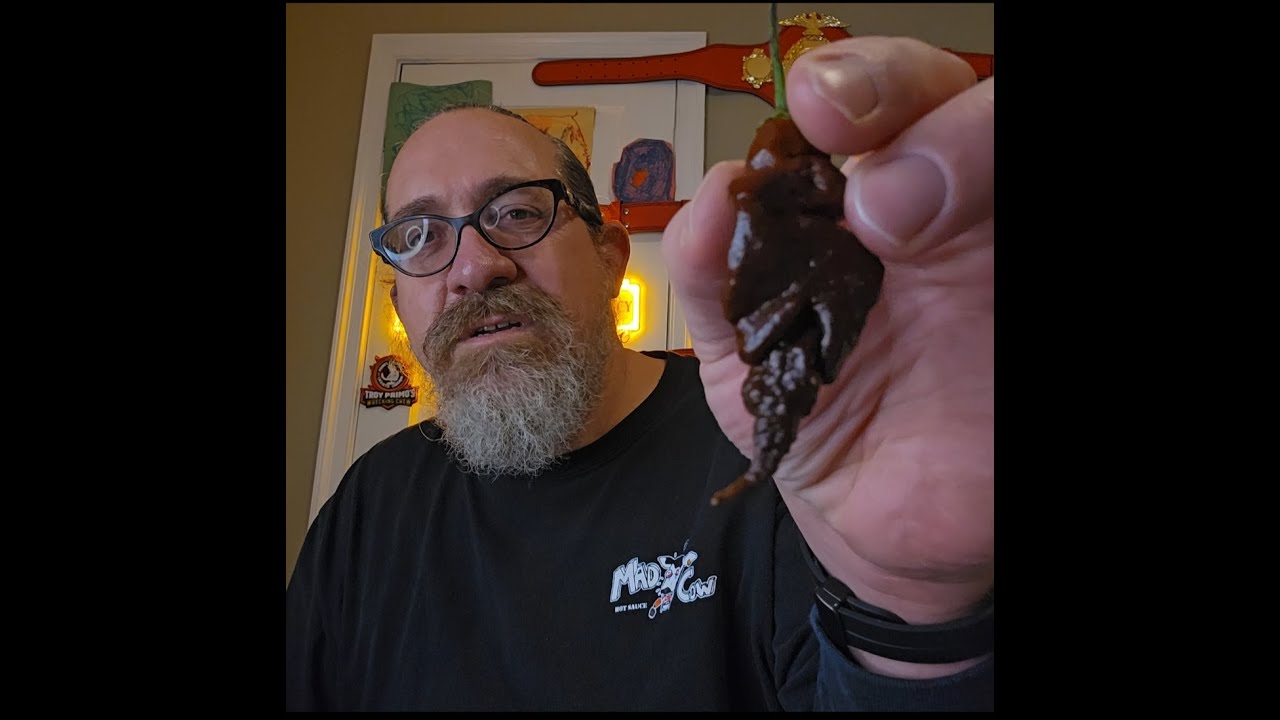 🔥Unboxing Hellfire: Chocolate Primotalli Review from Jason Capsaicin’s ...
