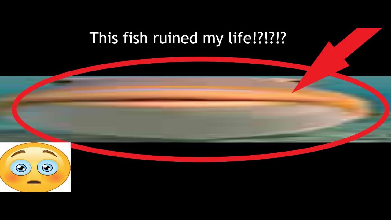Yapping about seeing a fish - YouTube