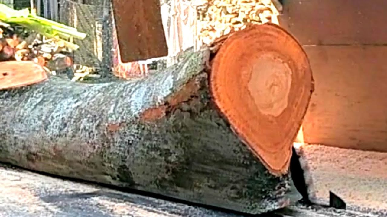 Keras dan termurah‼️ resiko tinggi cara terbaik proses penggergajian ...