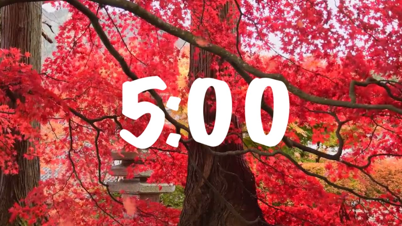 5 Minute Beautiful Fall and Autumn Timer with Music | Soothing lovers ...