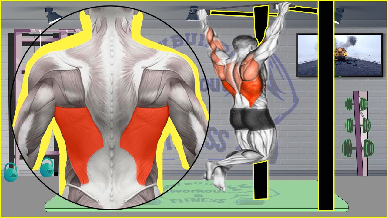 Pull Up Workout | Best Back Workout Exercises for Building Muscle - YouTube