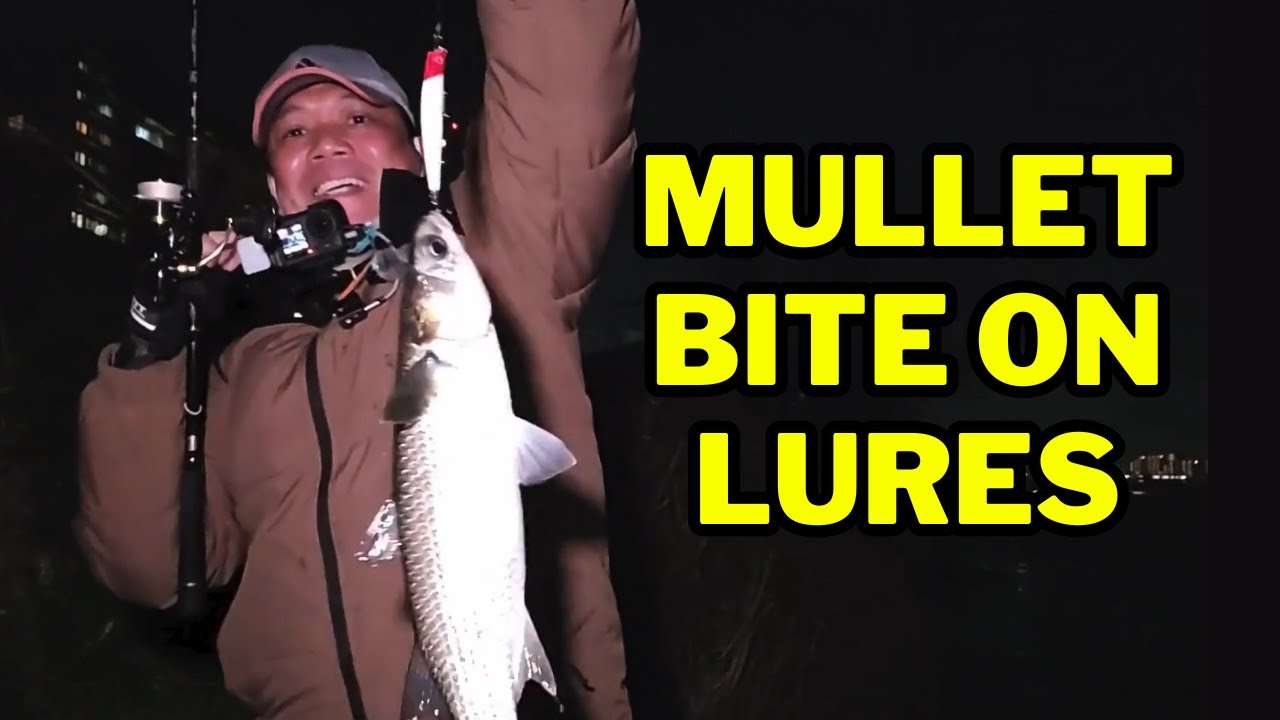 Mullet Bite on Lures- Bachi Nuke Pattern Seabass Fishing - YouTube