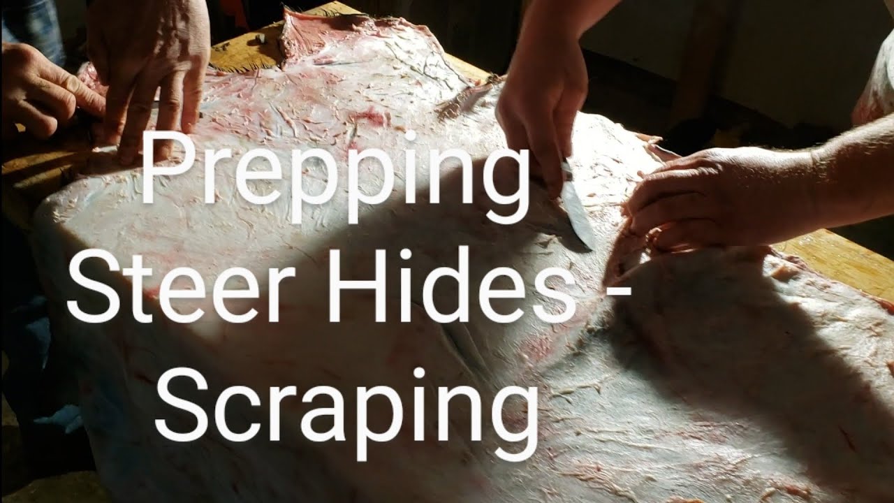 Steer Hide Scraping for Rawhide, by hand - YouTube
