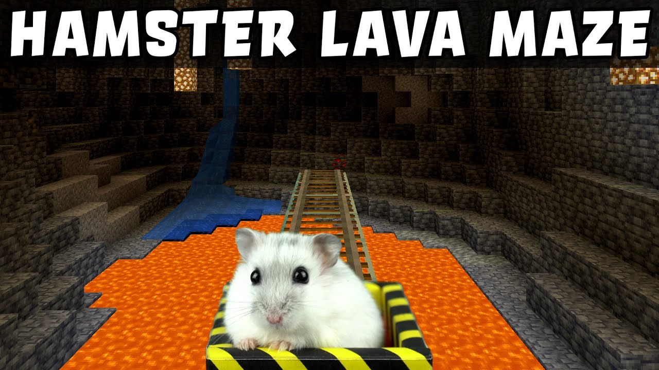 Hamster in Roller Coaster in LAVA MAZE Minecraft - YouTube