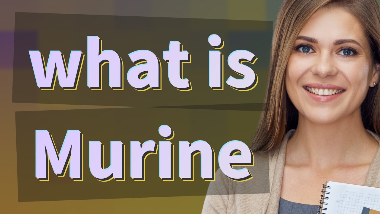 Murine | meaning of Murine - YouTube