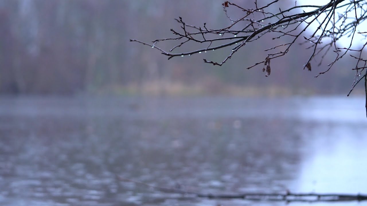 Relaxing Rain Drops on Water - 9 Hours - YouTube