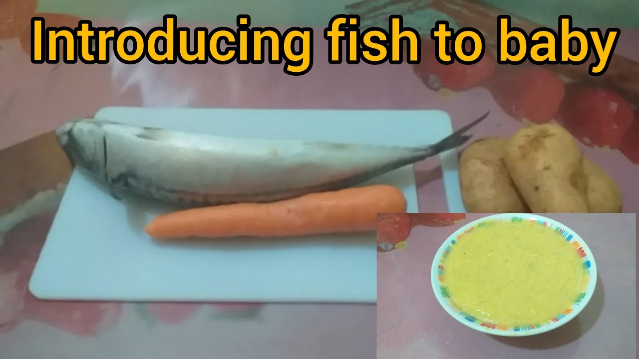 How to Introduce fish to baby/Introduce fish to 9 to 12 month baby ...