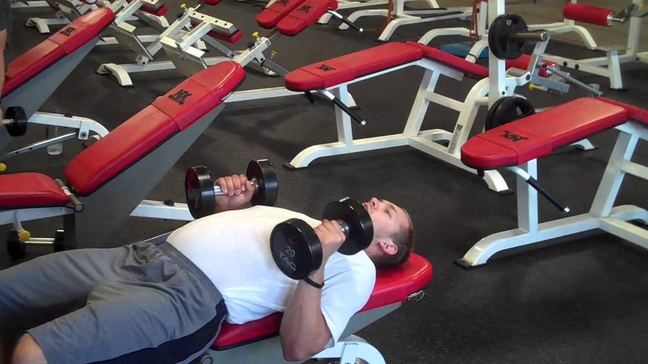 NX Level Dumbbell Bench Variations.mp4 - YouTube