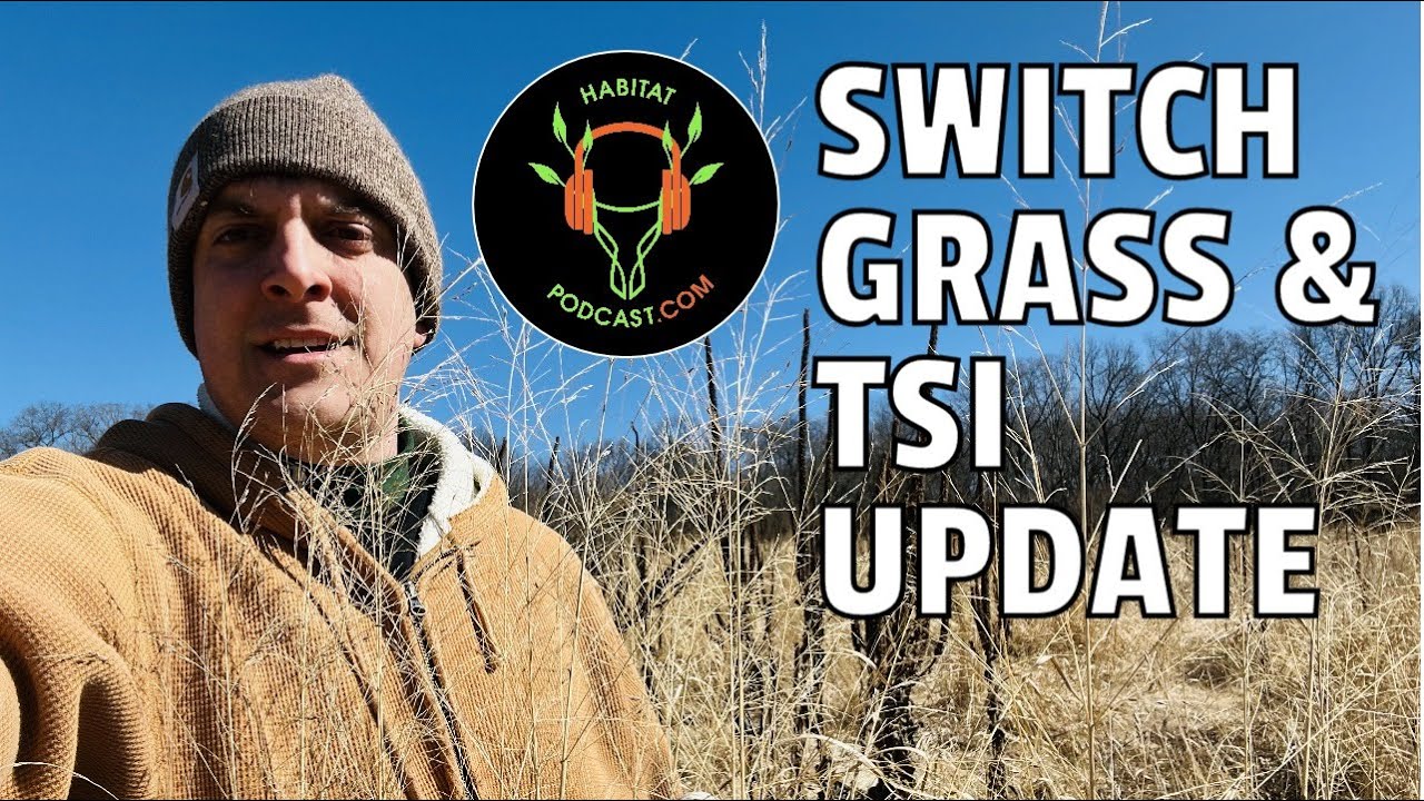 Frost Seed Switch Grass How To TSI DIY Update Teach Me Set Deer Trap ...