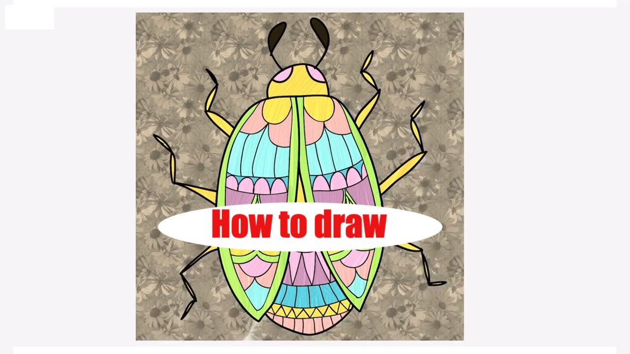how to draw a beetle - YouTube