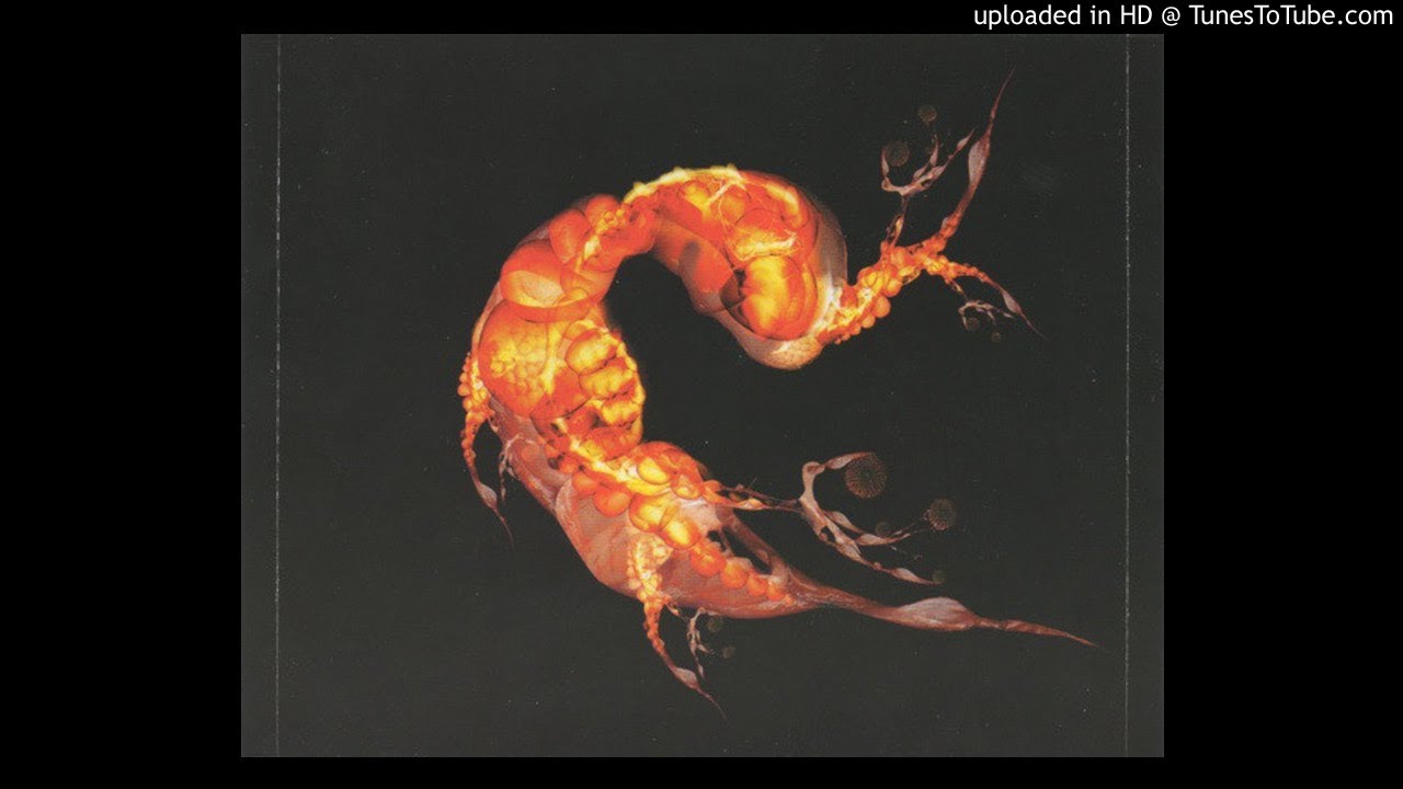 BOLA - Pae Paoe [2001] (SKALD007) - YouTube