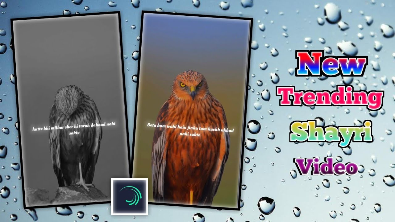 Egle shayari video editing | Trending Reels Video Editing - YouTube